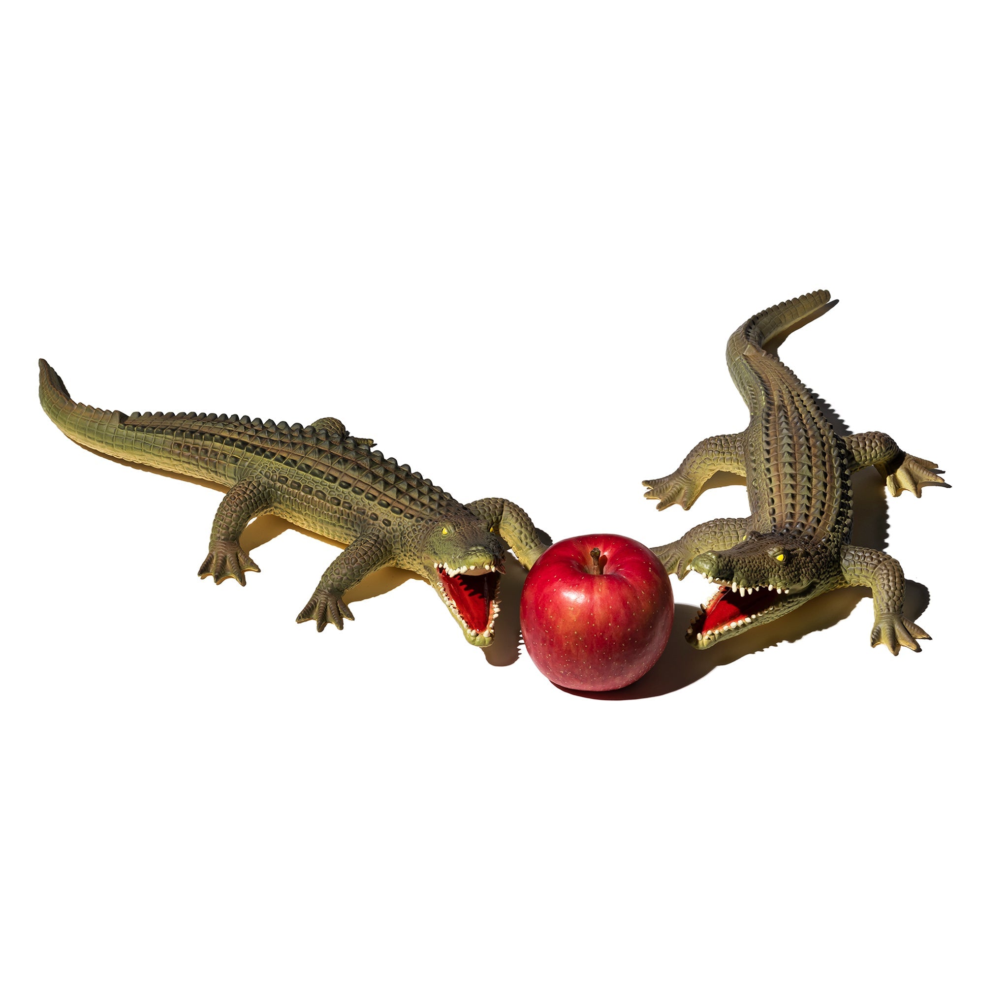 RUBBER ANIMALS / Alligator – PUEBCO KOREA